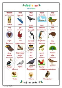 Hindi - Worksheet.learningprodigy.com