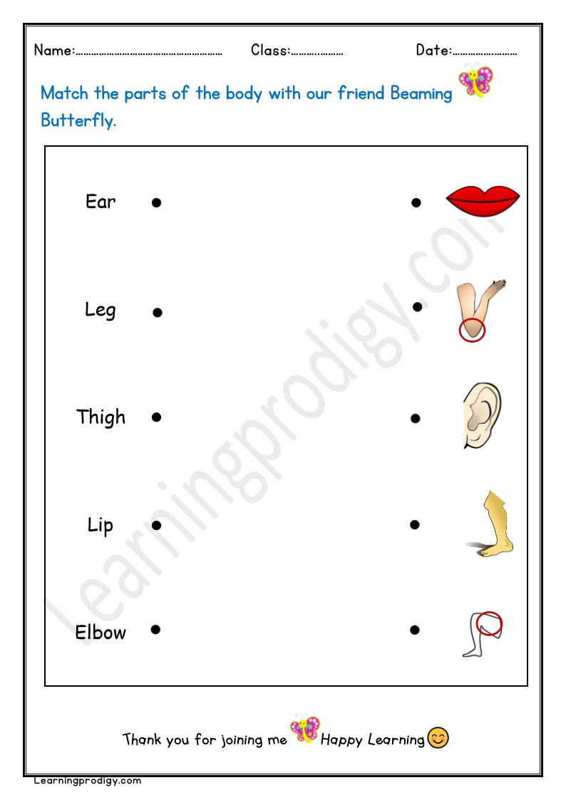 Free Printable Science Worksheet for Grade One Kids- Living and Non ...