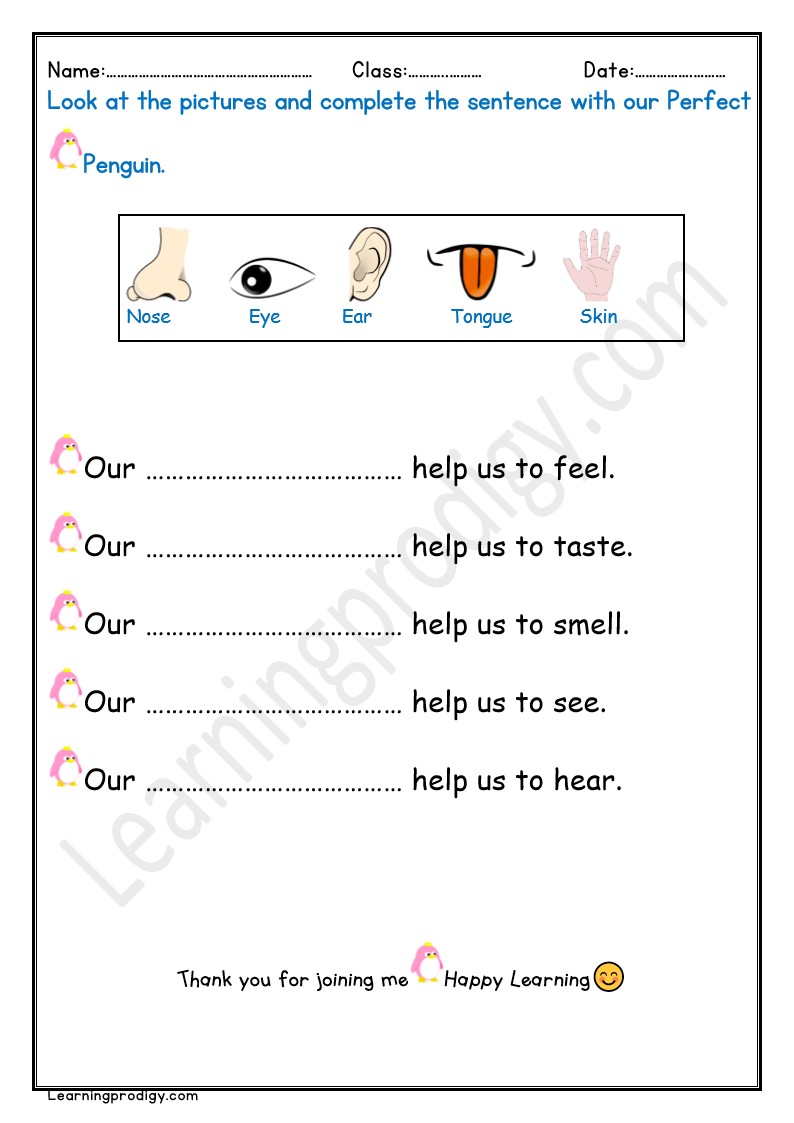 Free Printable Sense Organ Worksheet For Students | Science Sense ...