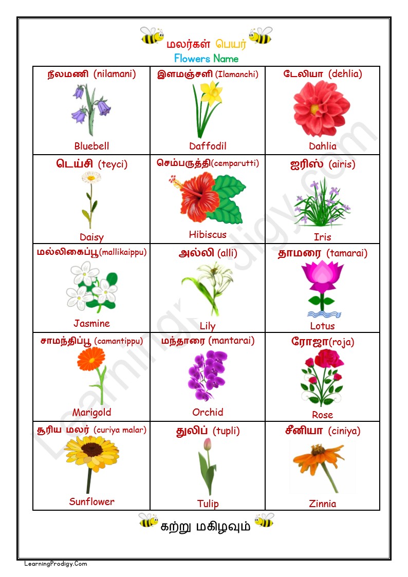 Free Printable Flowers Name Chart in Tamil|தமிழில் பூக்களின் பெயர் ...